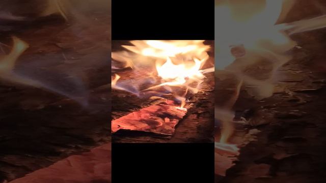 Костер для шашлыка. Огонь