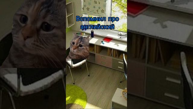 Как проходят мои выходные СУББОТА (1 часть)