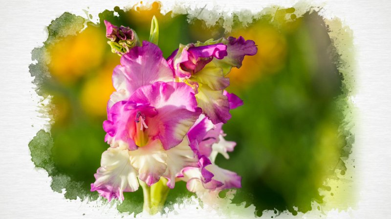 Красивая и нежная  мелодия "Время тихой любви"