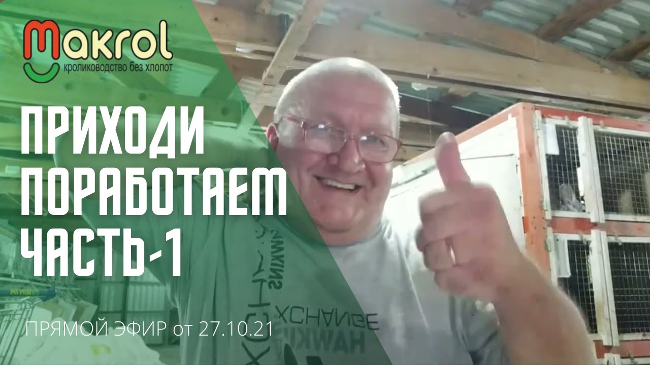 ⛔Возможно ли выживание крольчат без мамки. Деревенские будни Прямой эфир  27.02.2021 г. ЧАСТЬ-1