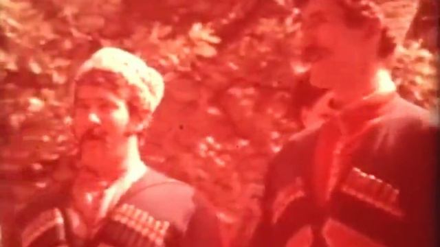 "Трава моя, Трава зеленая"   ККХ -1981 г.