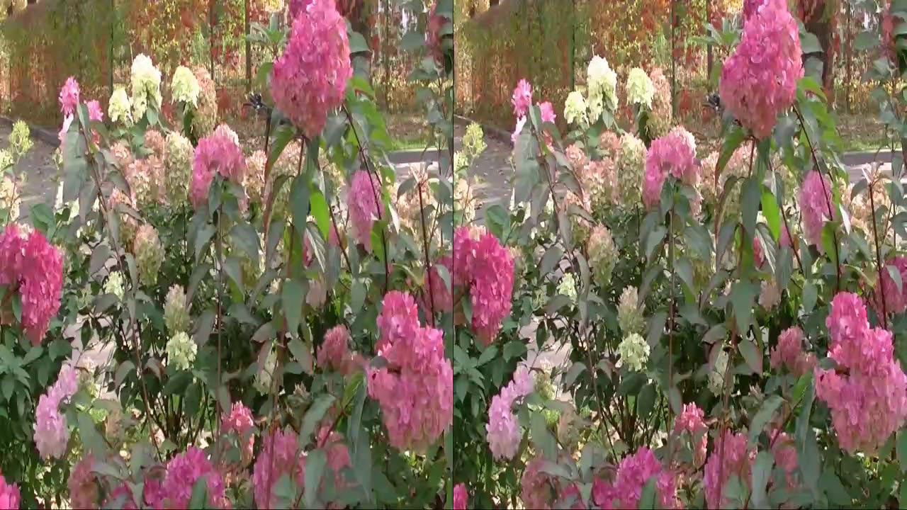 3D. Шопен. Ноктюрн. Соч. 9 / Chopin. Nocturnes. Op. 9, Es-dur