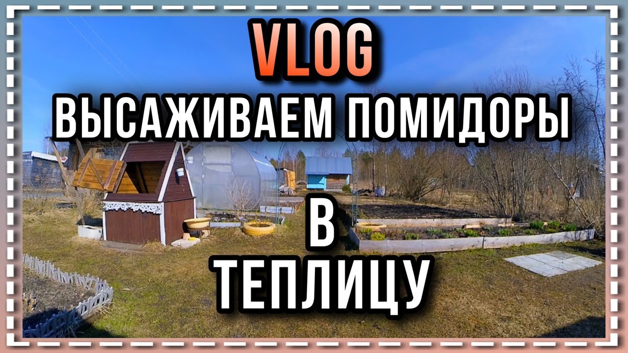 VLOG/Высаживаем помидоры в теплицу/02.05.2020 год