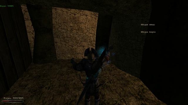 Готика2НВМодОдиссеяv2.6.4Часть317.Деревня орков.Молодой огненный дракон.Предательство Ганелуна.