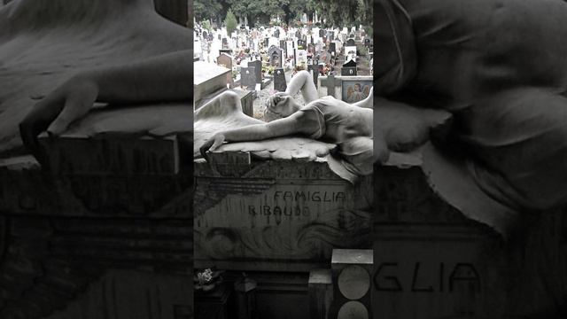 Память, как искусство. От любимых любимым. #shorts