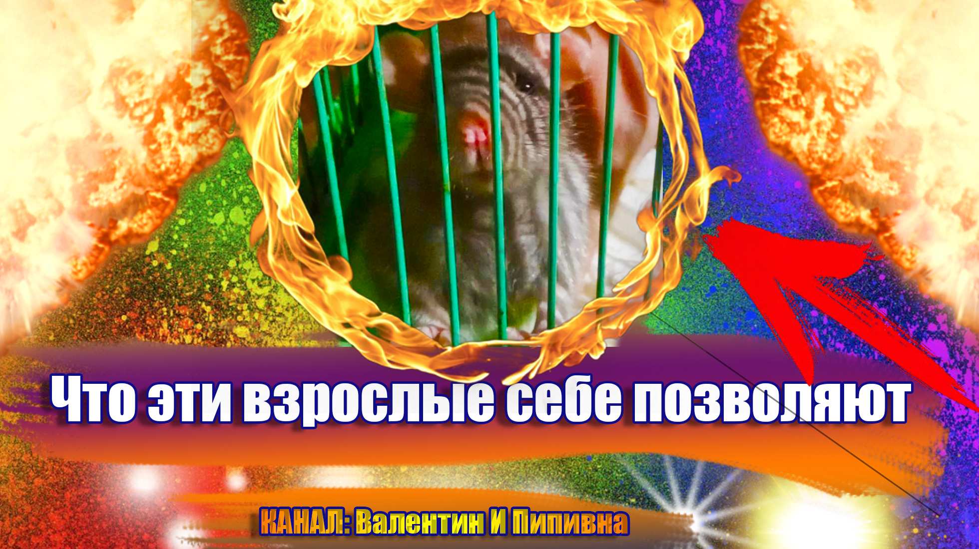 Я гордая крыса. Что эти взрослые себе позволяют