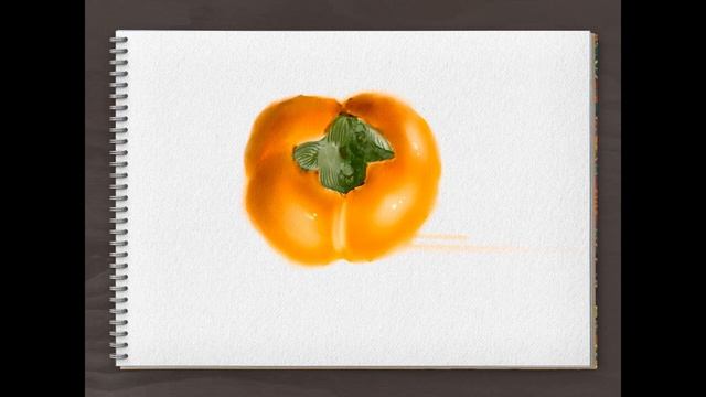 Persimmon drawing in Realistic paint studio