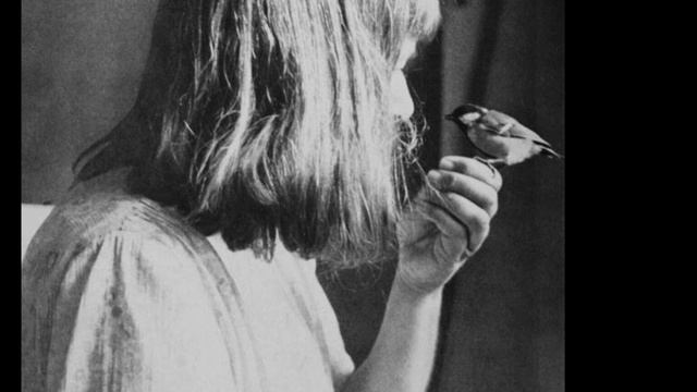 ПТИЧКА. ЧИТАЕТ ПРОТ.СЕРГИЙ БАРАНОВ. Отрывок из книги "Улыбающийся святой"