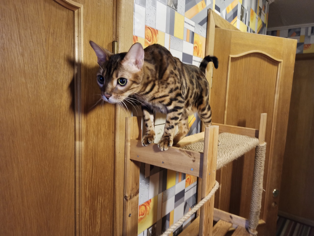 Игровая этажерка для Кеши!