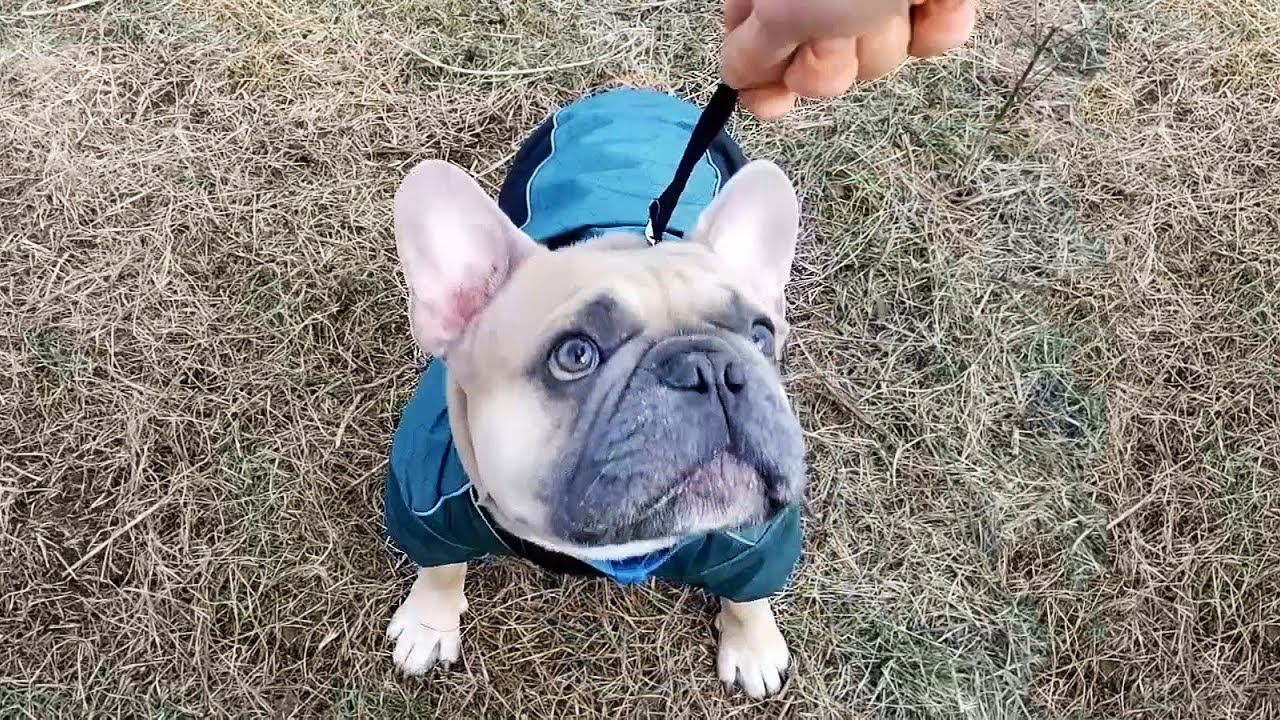 ЖоРа с ручкой :)