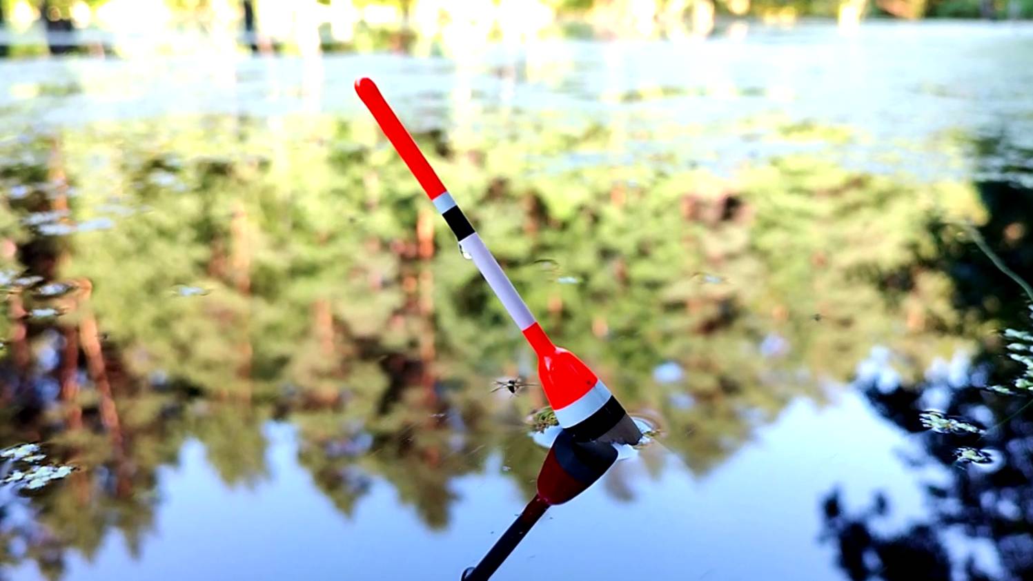 РЫБАЛКА НА ДИКОМ АДРЕНАЛИНЕ. Активный клёв на поплавочную снасть