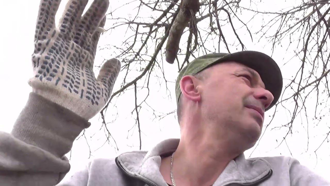 Земля матушка. Труд, пот и радость от урожая) Настоящее поднятие целины!