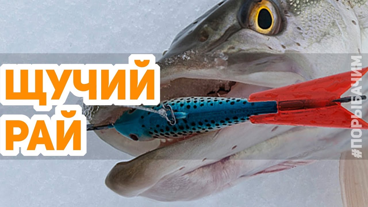 Река полная щуки. Ловим щуку со льда на балансиры. Окуня на безмотылку