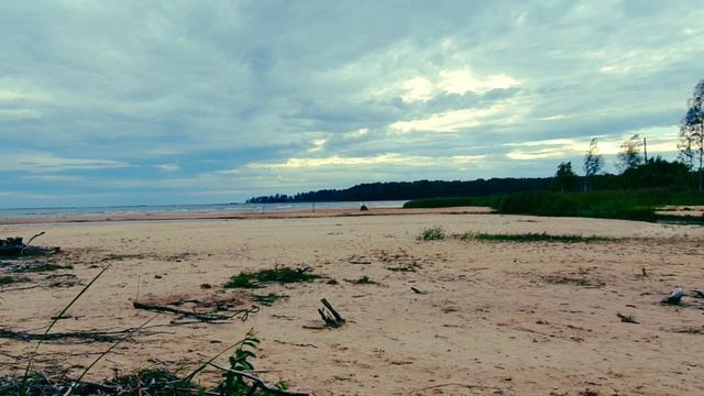 2020 - Short - конец лета