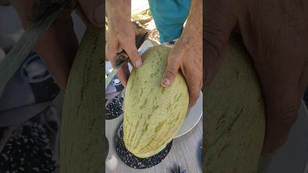 поспела дыня на даче