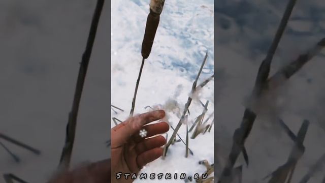 Всегда найдётся тот, кто захочет сделать это!!!?