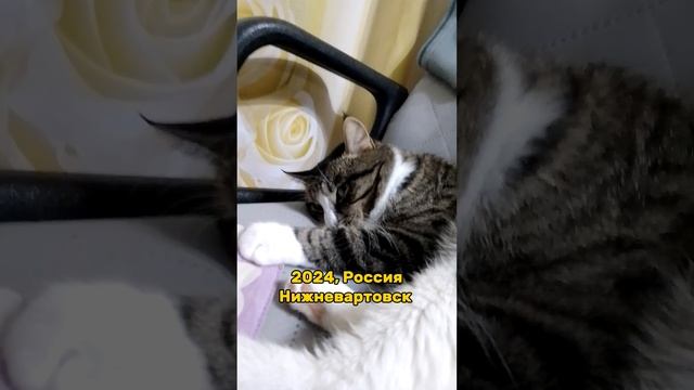 умельщик? ? ПОЛИЦП