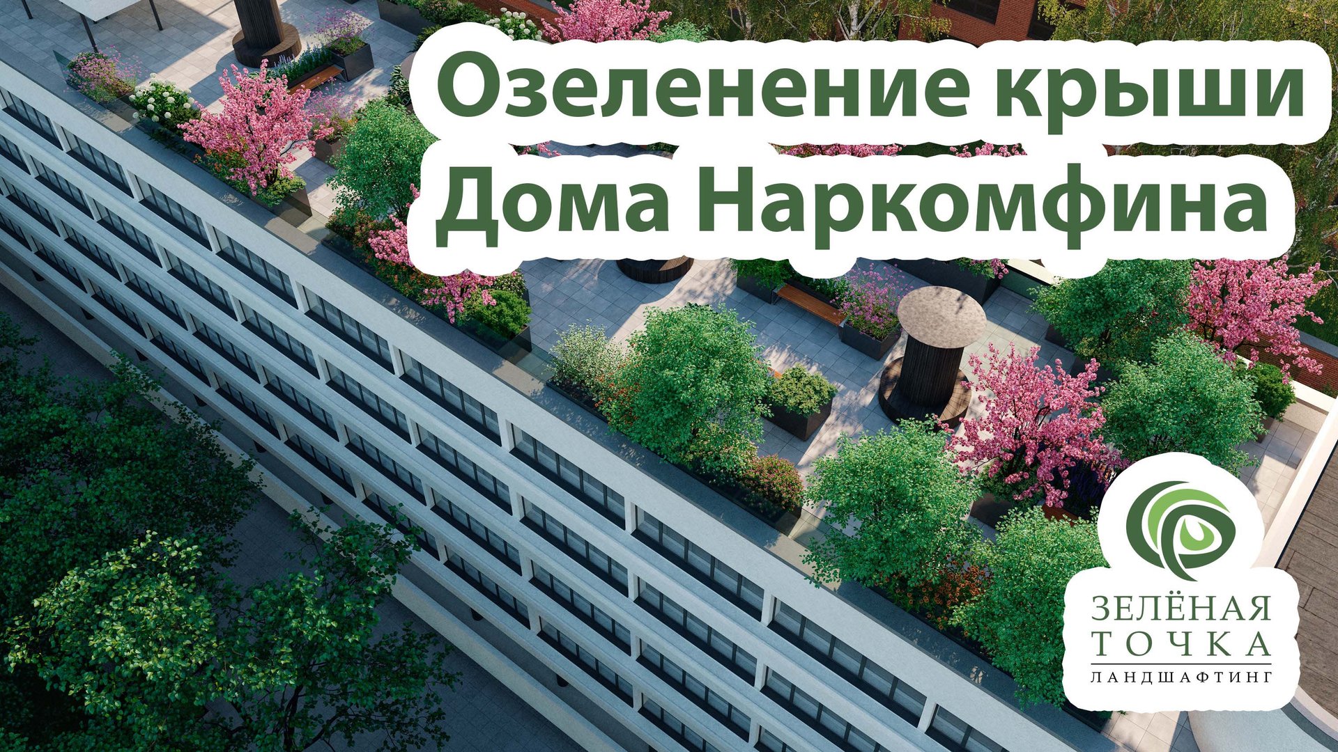Проект благоустройства и озеленение кровли: Дом Наркомфина