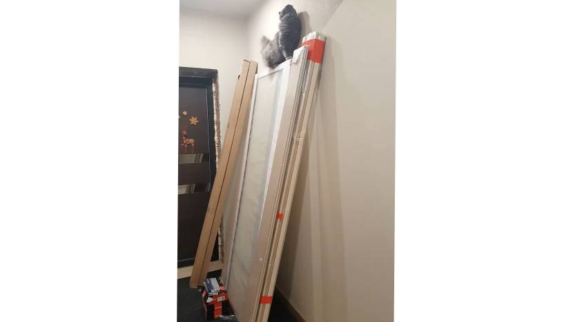 Кот - скалолаз и громкий шпиц!