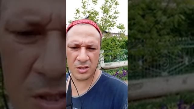 LIKEE. СОЦСЕТЬ. PROPHET. SHCHERBAKOV. ЩЕРБАКОВ АРТЁМ. 4.055.ПОЛИТИКА. ПРОСТИТУЦВАРМЭКОНОМ_1004_1015