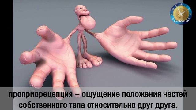 Верю_НЕ_Верю_09.mp4