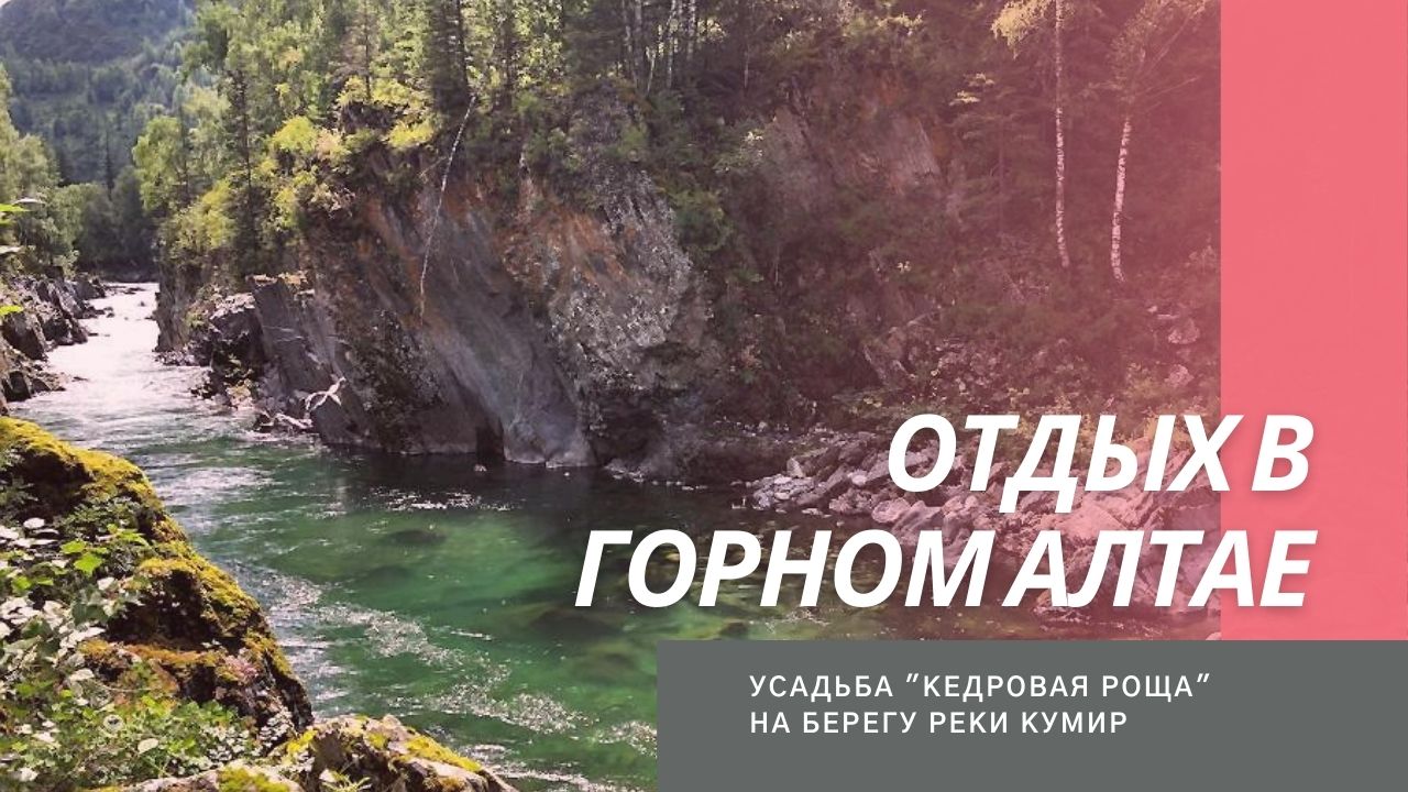 Отдых в Горном Алтае. Усадьба Кедровая роща.