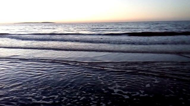 Чудесный вечер в Кинологическом Лагере. Прогулка к морю