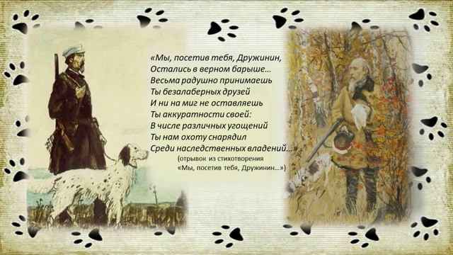 Сер. 54. Прогулка барса БЦОшки по улице Некрасова.mp4