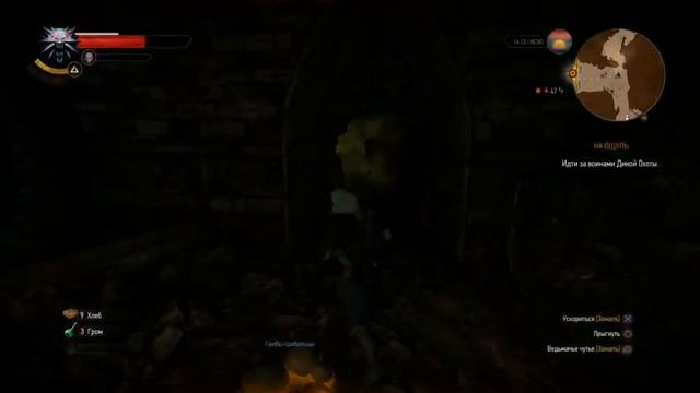 Ведьмак 3. Дикая охота. Прохождение без комментариев. Часть 2.