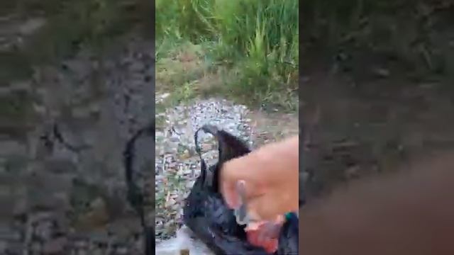 вечерняя рыбалка на дым тамакском карьере