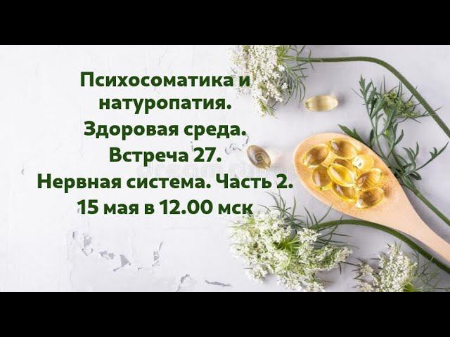 Психосоматика и натуропатия  Нервная система  Встреча 2