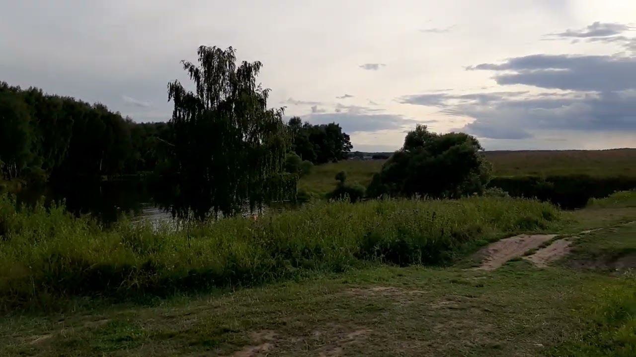 Марьинское. Ступинский район. 22.06.2023