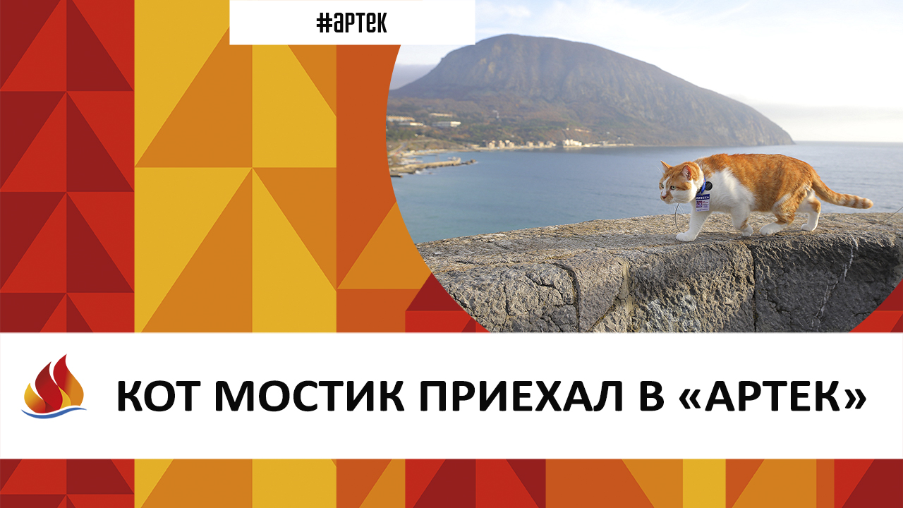 Артек 2022 13 смена*Кот Мостик