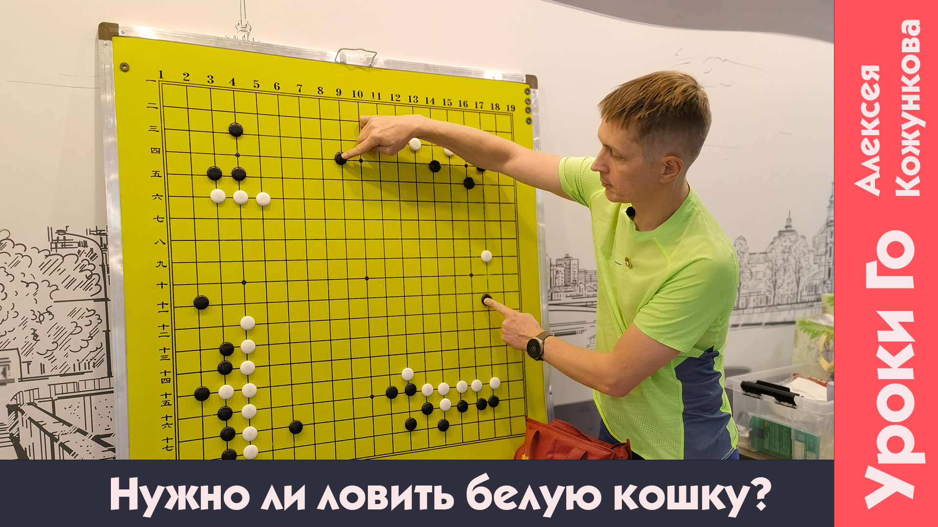 Нужно ли ловить белую кошку?