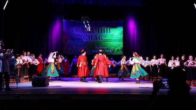 Концерт_mpeg2video.mpg