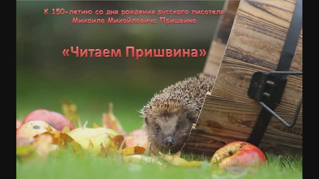 Пришвин М.М. Ёж