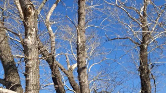 В поисках клада