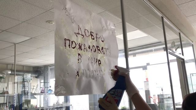 20 марта. Симулятор студента НВГУ