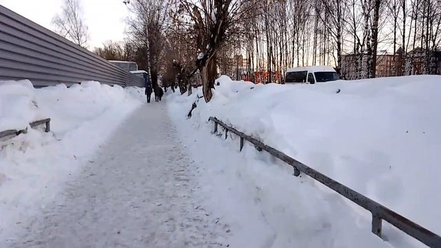 2024.02.27 Прогулка и в гараже.