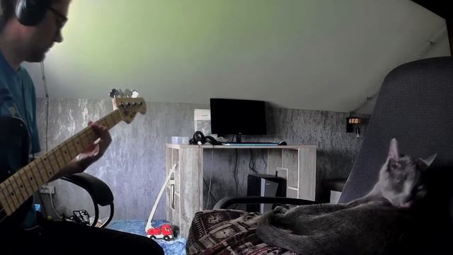 Зёрна - Осень золотая (бас - кавер)