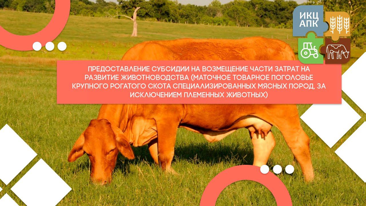 Запись семинара  от 2 марта 2023 года