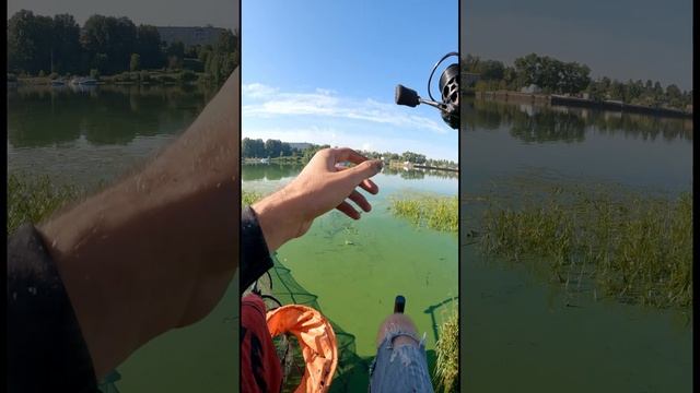 Чемпионат Ивановской области по фидеру 15.08.2022  / Рыболовные соревнования \ Рыболовный спорт