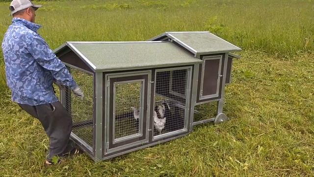 Лучшие курятники для домашней птицы. Домик для кур с выгулом "ПЕРЕКАТИ ПОЛЕ" от CrazyFerma