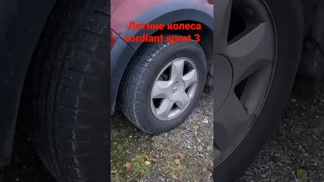 Летние колеса cordiant sport 3 для рено сандеро степвей отзыв