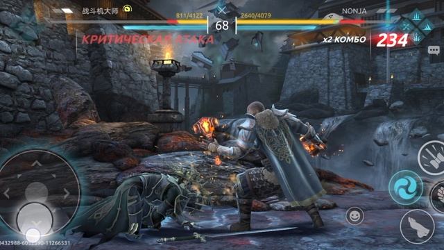 Шедоу Файт 4 Арена.mp4