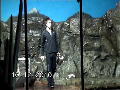 Планета Нептун. Дельфинарий. 2010.