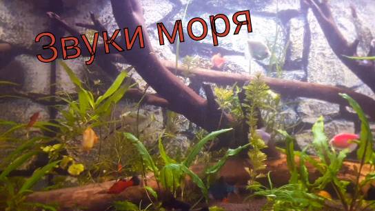 Звуки моря. Шум прибоя. Музыка для релакса и сна.