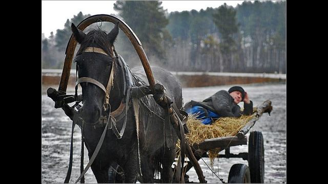 Баба с возу.