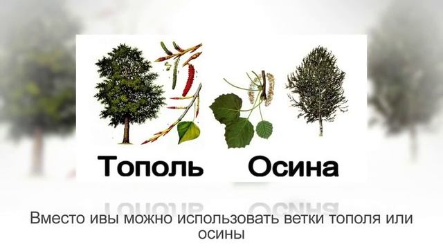 ГОТОВИМ САМИ НАТУРАЛЬНЫЙ СТИМУЛЯТОР РОСТА КОРНЕЙ - КОРНЕВИН