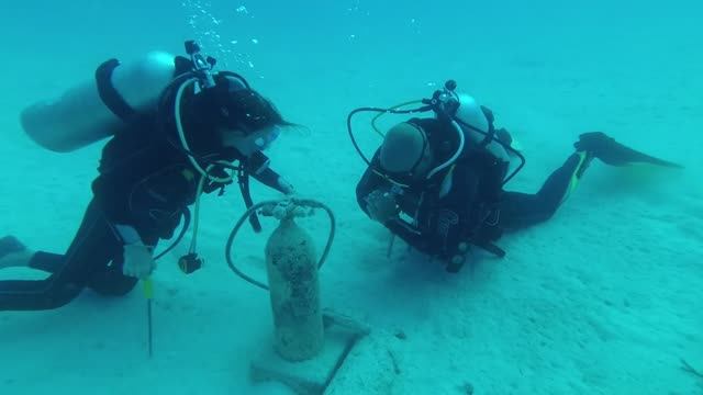 Дайвинг, Куба, о. Кайо-Коко Diving